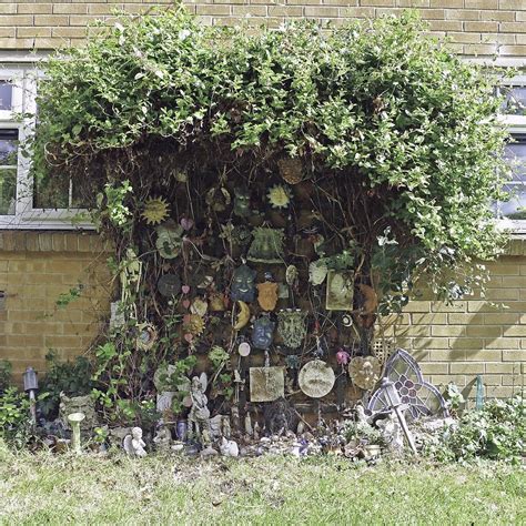 Сад ведьмы растения (58 фото)