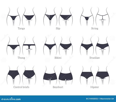 Icone Dei Tipi Di Mutande Femminili String E Thong Tanga E Bikini Illustrazione Vettoriale