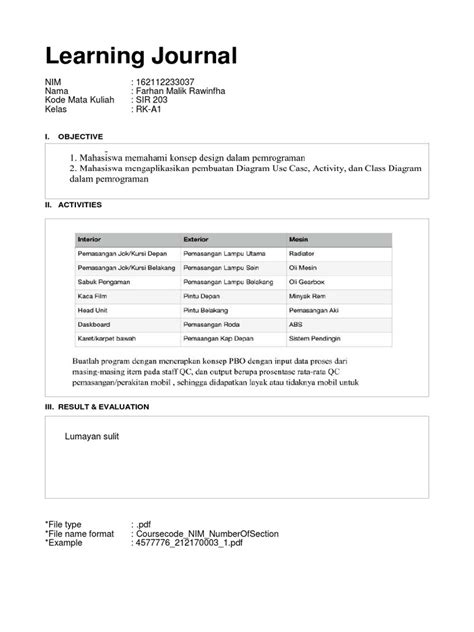 sir 203 162112233037 10 pdf computer programming software