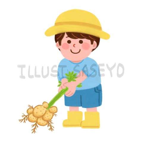 유치원 감자캐기 체험 남아 일러스트 Png 530 Illust Saseyo