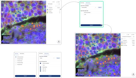 Bioturing Lens Spatial Omics Analytics Platform