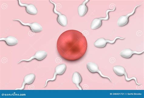Active Sperm Cells Swim To The Egg On A Pink Background The Concept Of