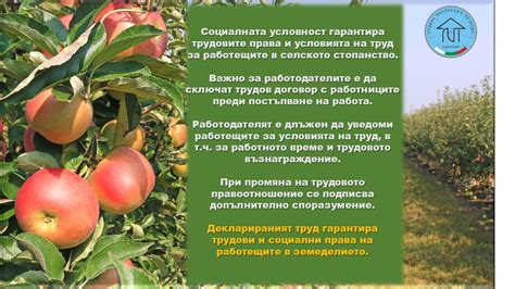 ℹМинистърът Министерство на труда и социалната политика Facebook