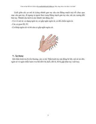 Gi I Ph U Th N Kinh Tr Pdf