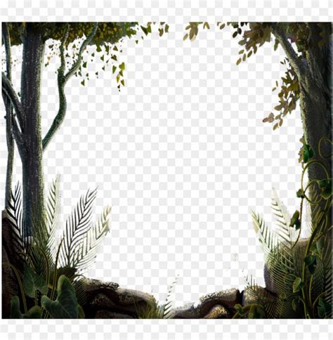 Ature Tree Forest Border Vector Tree Nature Design Nature Tree Border Desi PNG Transparent