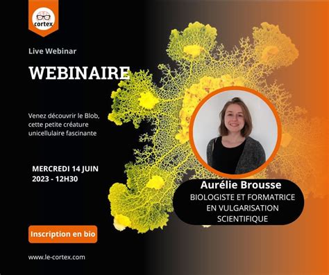 Replay Webinaire Du Cortex Sciences Le Blob Par Aurélie Brousse