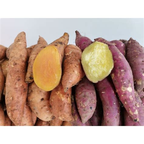 Ubi Madu Jepun And Ubi Oren 900g Shopee Malaysia