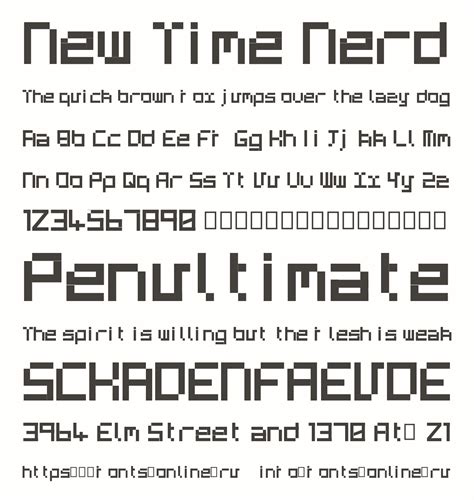 New Time Nerd Font