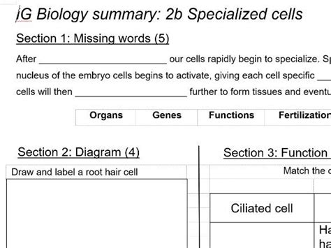 Igcse Biology 2b Specialized Cells Summary Sheet Teaching Resources