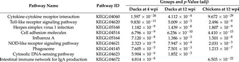 Statistically Significant Enrichment Of Kegg Pathways In The Brains Of