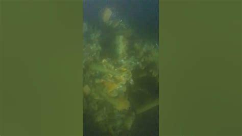 Sobgishortvideos Shortsviral Trendingshorts 😉 Youtube