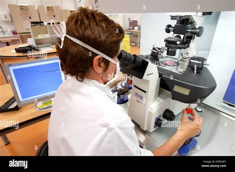 Technician Using A Light Microscope To Inject Human Sperm Into A Human Egg Cell Ovum During In