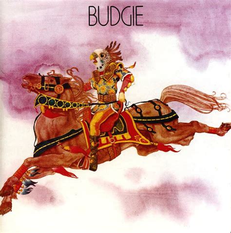 Budgie Budgie Reviews