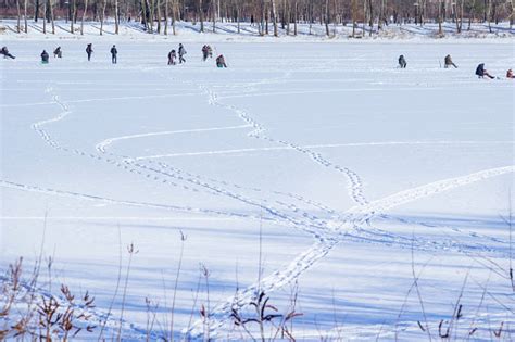 얼음과 눈으로 덮인 겨울 강 멀리서 낚시를 하는 어부들 눈 속의 발자국 겨울 낚시 강에 대한 스톡 사진 및 기타 이미지 강 겨울 낚시 Istock