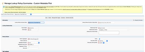 Realtime Calculation Is Not Working · Issue 695 · Sfdo Community