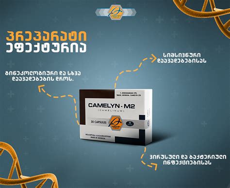 🍯 გამოცადეთ ქართული წარმოების Camelyn • კამელინი