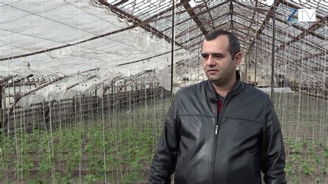 Բուրավետ բիզնեսի փուշը Youtube