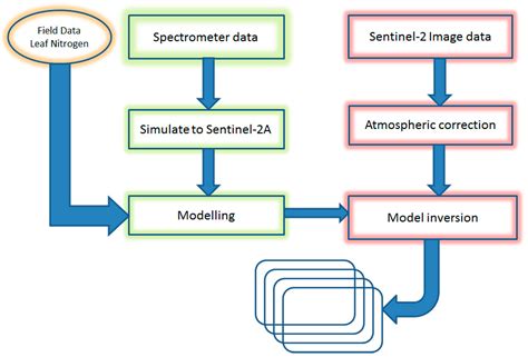 Remote Sensing Free Full Text Explaining Leaf Nitrogen Distribution In A Semi Arid