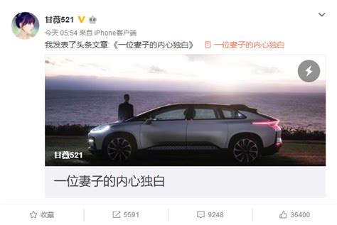 演员甘薇终于在“贾跃亭妻子”的角色拼出了演技 蓝鲸财经