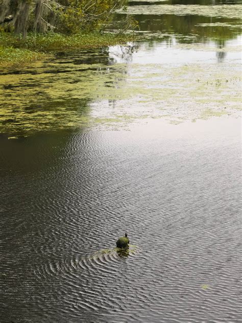 Single By Ewbtech On Deviantart