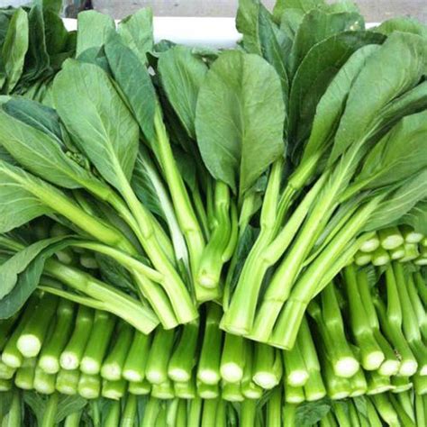 澳洲菜心 菜心是什么菜 第7页 大山谷图库