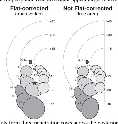 Figure 2 From Analysis Of Retinotopic Maps In Extrastriate Cortex