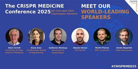 News Circular Single Stranded Dna Enables Efficient Non Viral Immune