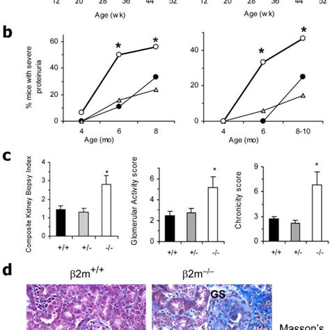Serum Total Immunoglobulin G Igg And Rheumatoid Factor Rf Are Download Scientific Diagram