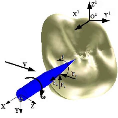 Force Analysis Of Grinding Operation Download Scientific Diagram