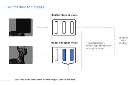 Mlt Meta Ai Releases Data2vec The First General