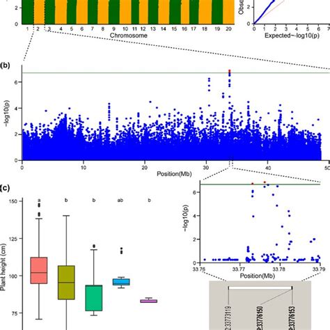 Haplotype Alleles Detected In The Haplotype Block Hap 2 On Chr02