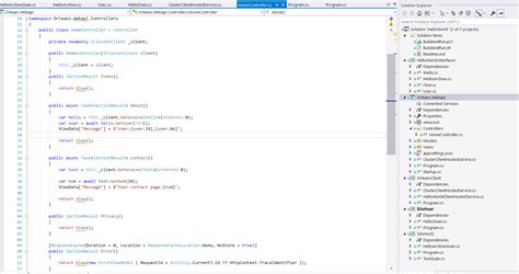 Heterogeneous Silo And Cannot Find An Implementation Class Error