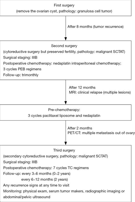 A Recurrence Of Advanced Malignant Sex Cord Tumor With Annular Tubules Case Report Pmc