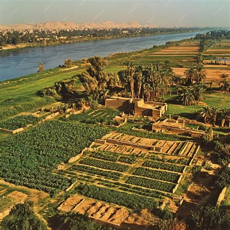 The Impact Of The Nile River On Ancient Egyptian Agriculture And