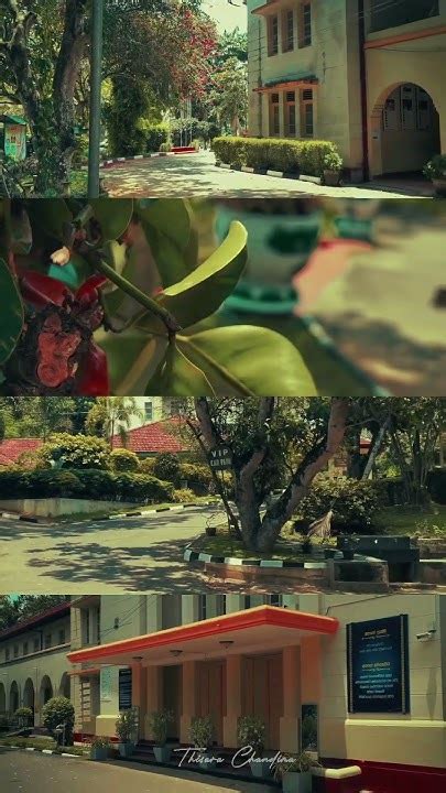 Dudley Senanayake Central College Tholangamuwa Cinematic Clip Youtube