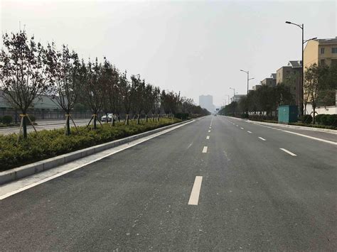 夷山大街北延东京大道 复兴大道道路绿化建设项目 开封市园林绿化处