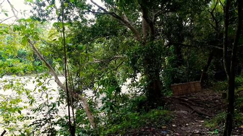 Ilog Ng Calumpang Nagcarlan Youtube