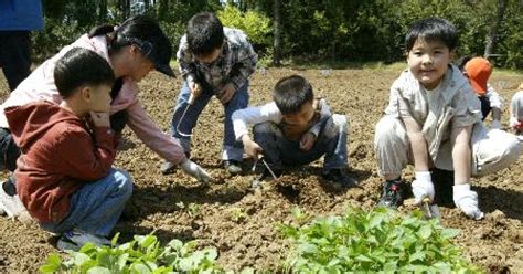 주말농장에서 채소 심는 어린이들
