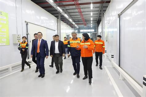 ТЭРБУМ МОД Орхон аймагт “Эрдэнэт 100 сая мод” хөтөлбөр хэрэгжинэ