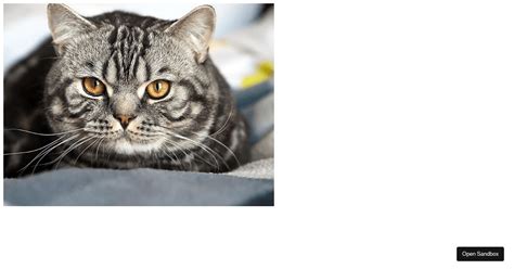 Change Image On SetInterval Codesandbox