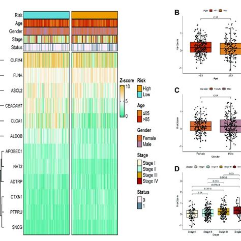 Correlation Between The Glycolysis And Lactate Related Gene Prognostic Download Scientific