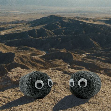 Crochet Googly Eye Rock Finished Product Etsy
