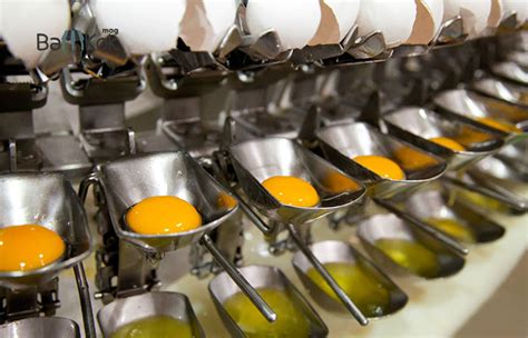 شرکت تلاونگ راه های ارتباطی و لوکیشن