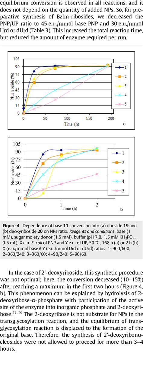 Dependence Of Base 12 Conversion Into Riboside 21 On The Type Of