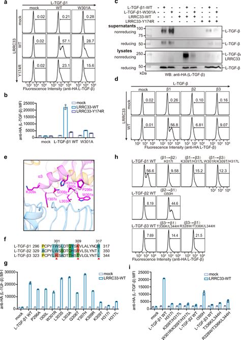 Non Covalent Interaction Is Essential For The L Tgf β1 Lrrc33 Assembly Download Scientific