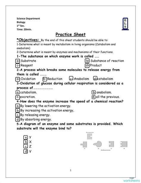 Scinece Revision Interactive Worksheet Topworksheets