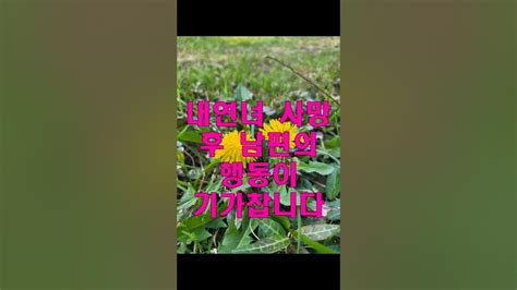 내연녀 사망 후 남편의 행동이 기가찹니다 노후사연썰양갱썰오디오 Youtube