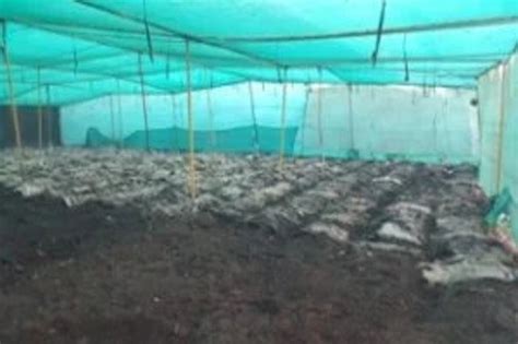 Process Of Vermicomposting A Guide To Organic Fertilizer