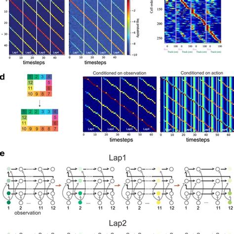 Clone Structured Cognitive Graph A Sketch Explaining Dynamic Markov Download Scientific Diagram
