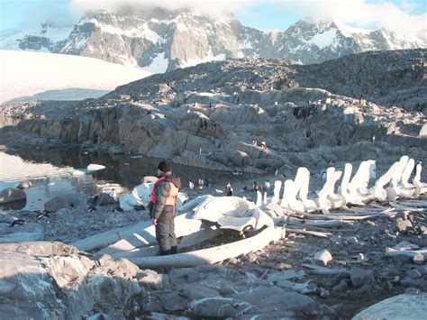 Best Things To Do At Deception Island